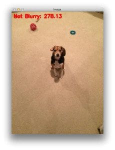 Blur detection with OpenCV - PyImageSearch