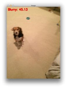 Blur detection with OpenCV - PyImageSearch