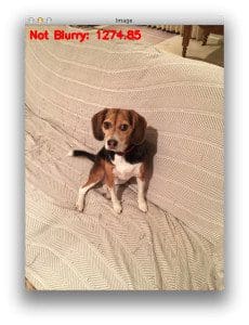 Blur detection with OpenCV - PyImageSearch