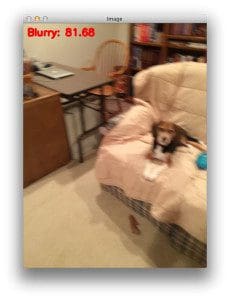 Blur detection with OpenCV - PyImageSearch