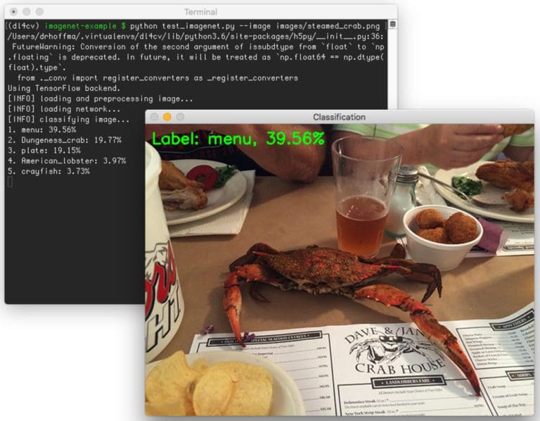 ImageNet classification with Python and Keras - PyImageSearch