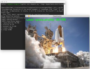 ImageNet classification with Python and Keras - PyImageSearch