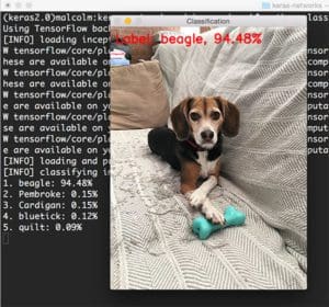 ImageNet: VGGNet, ResNet, Inception, and Xception with Keras ...