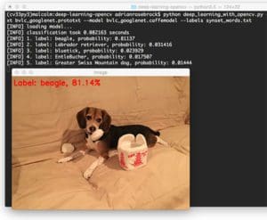 Deep Learning with OpenCV - PyImageSearch