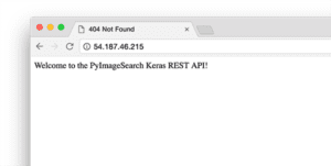 Deep learning in production with Keras, Redis, Flask, and Apache ...