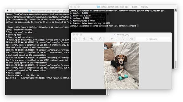 A scalable Keras + deep learning REST API - PyImageSearch A scalable Keras + deep learning REST API - PyImageSearch