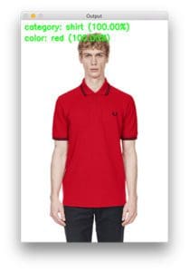 Keras: Multiple outputs and multiple losses - PyImageSearch