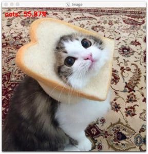 Keras Tutorial: How to get started with Keras, Deep Learning, and ...