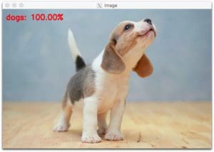 Keras Tutorial: How to get started with Keras, Deep Learning, and ...