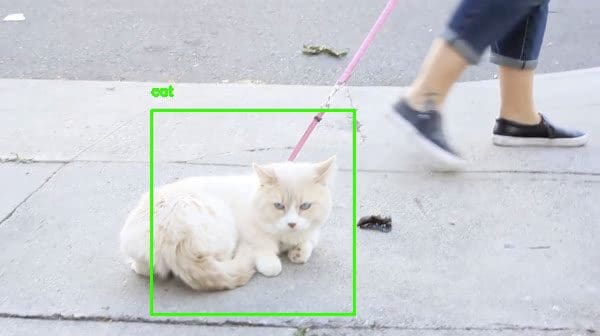 Tracking Multiple Objects With Opencv Pyimagesearch