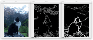 Holistically-Nested Edge Detection with OpenCV and Deep Learning ...