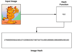 Building an Image Hashing Search Engine with VP-Trees and OpenCV ...