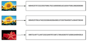 Building an Image Hashing Search Engine with VP-Trees and OpenCV ...