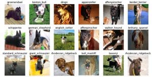 Detect and remove duplicate images from a dataset for deep learning ...