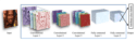 Opencv Age Detection With Deep Learning Pyimagesearch