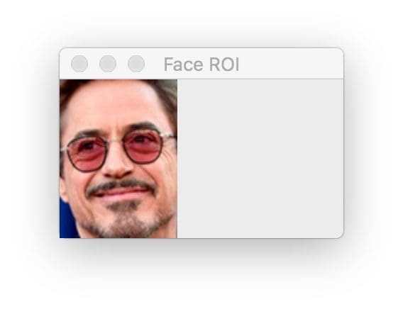 Blur And Anonymize Faces With Opencv And Python Pyimagesearch