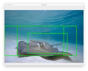 Turning any CNN image classifier into an object detector with Keras ...