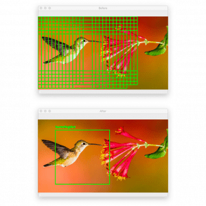 Turning any CNN image classifier into an object detector with Keras ...