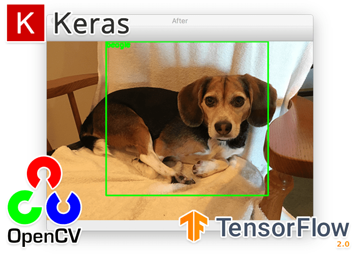 Multi Class Object Detection And Bounding Box Regression With Keras