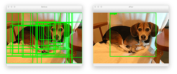 Region Proposal Object Detection With Opencv Keras And Tensorflow Pyimagesearch