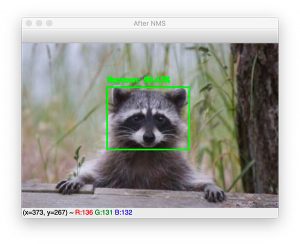 R-CNN object detection with Keras, TensorFlow, and Deep Learning ...