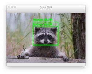 R-CNN object detection with Keras, TensorFlow, and Deep Learning ...