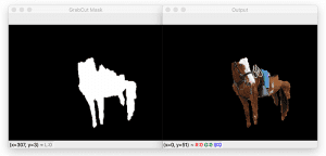 Image Segmentation with Mask R-CNN, GrabCut, and OpenCV - PyImageSearch