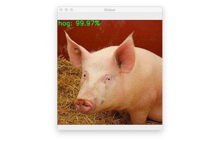 Adversarial Images And Attacks With Keras And Tensorflow Pyimagesearch