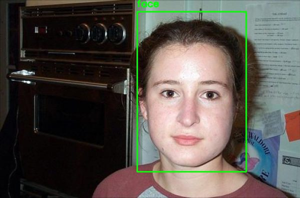 Multi Class Object Detection And Bounding Box Regression With Keras