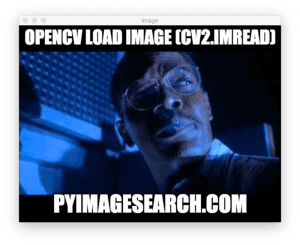 OpenCV Load Image (cv2.imread) - PyImageSearch