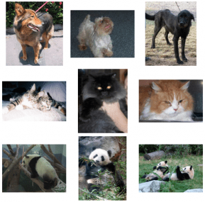 Your First Image Classifier: Using k-NN to Classify Images - PyImageSearch
