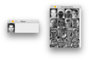 OpenCV Eigenfaces for Face Recognition - PyImageSearch