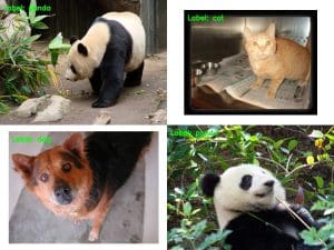 Load a trained Keras/TensorFlow model from disk - PyImageSearch