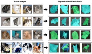 Torch Hub Series #6: Image Segmentation - PyImageSearch
