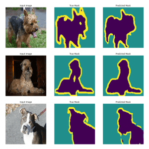 U-Net Image Segmentation in Keras - PyImageSearch