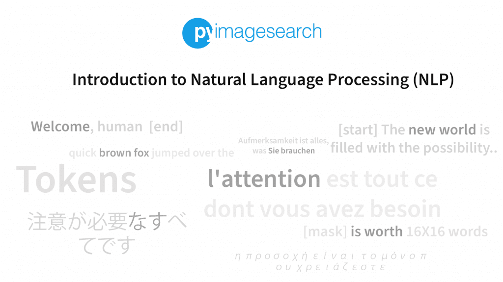 Introduction to the Bag-of-Words (BoW) Model - PyImageSearch