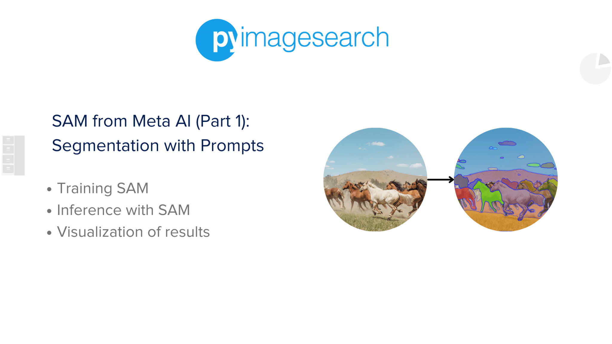 SAM from Meta AI (Part 1): Segmentation with Prompts - PyImageSearch